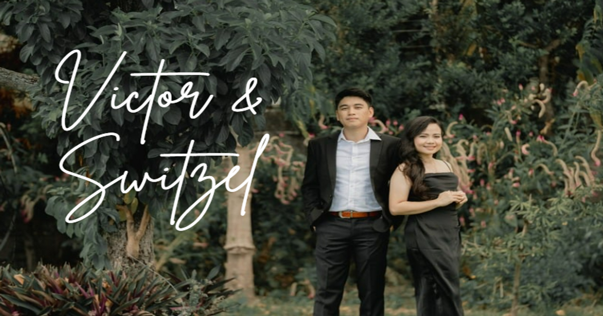 Victor & Switzel Website